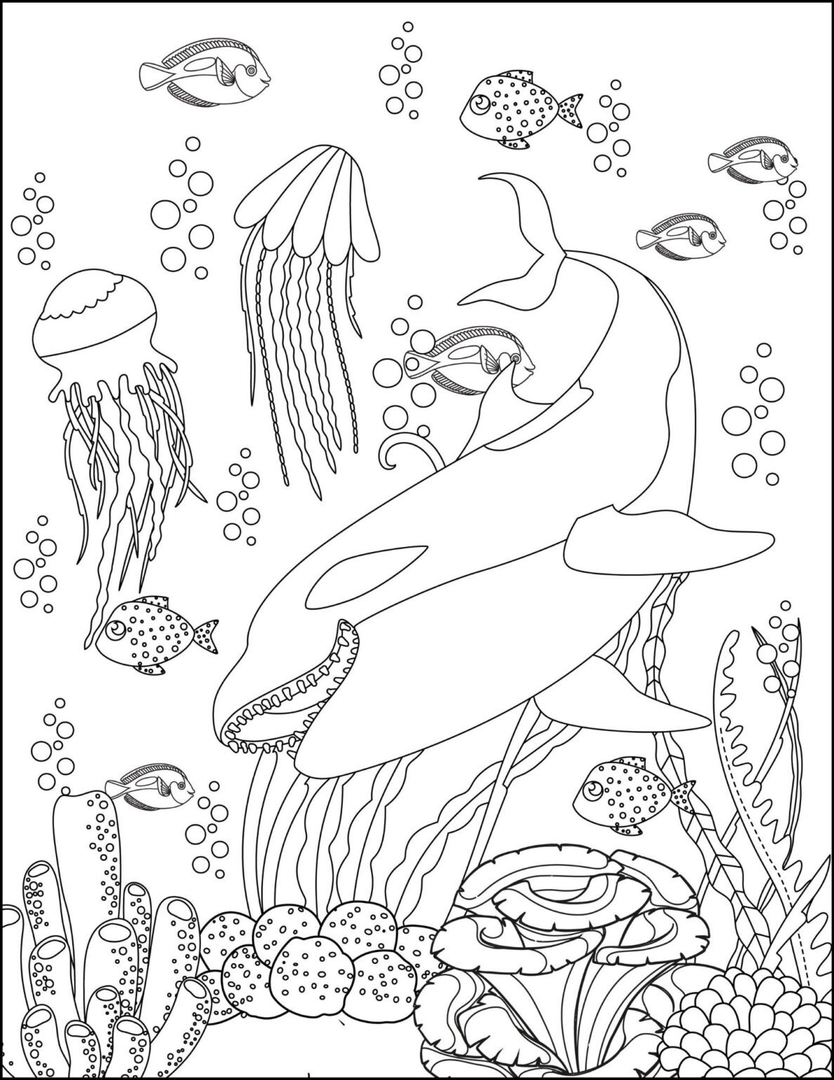 Ocean Coloring Pages - creativitycolor.com
