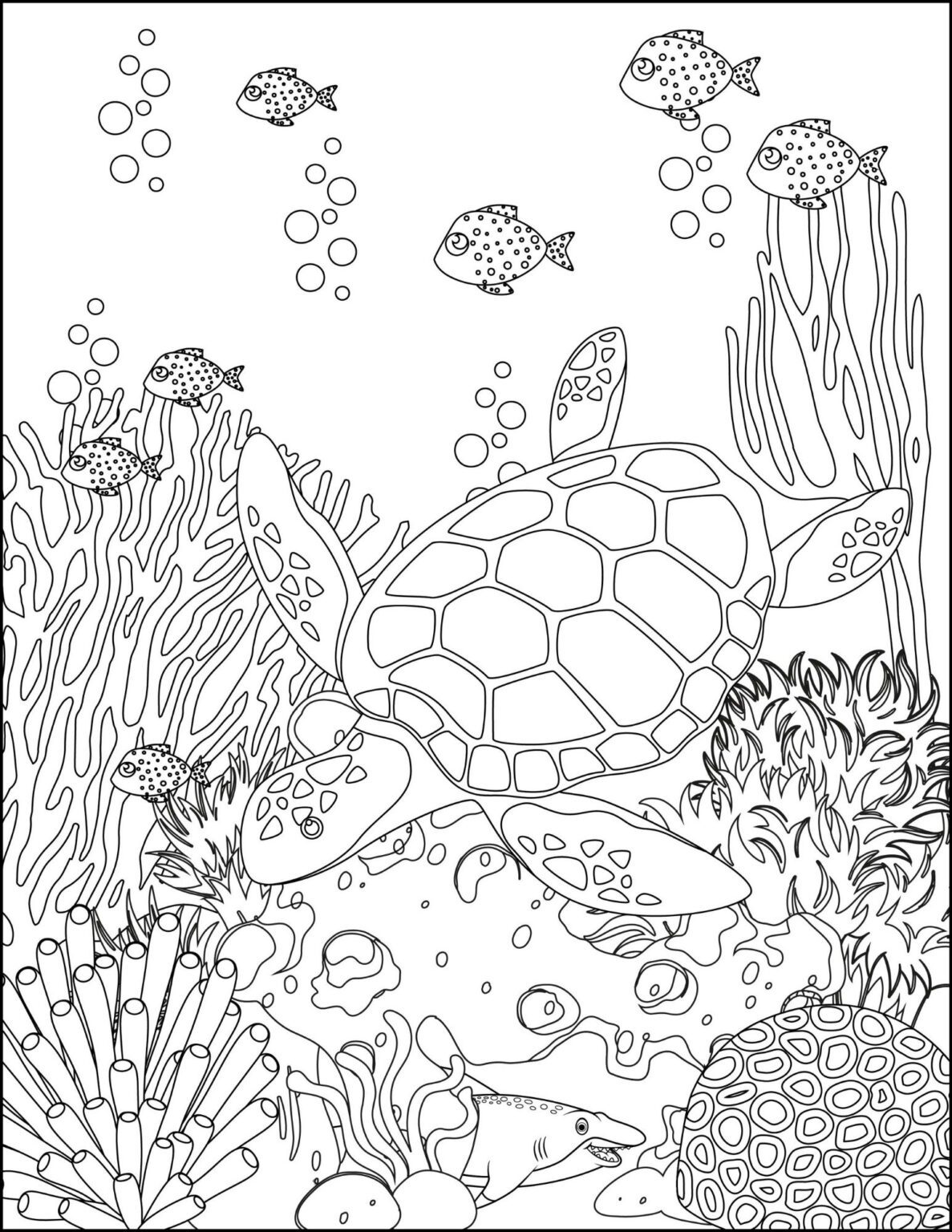 Ocean Coloring Pages - creativitycolor.com